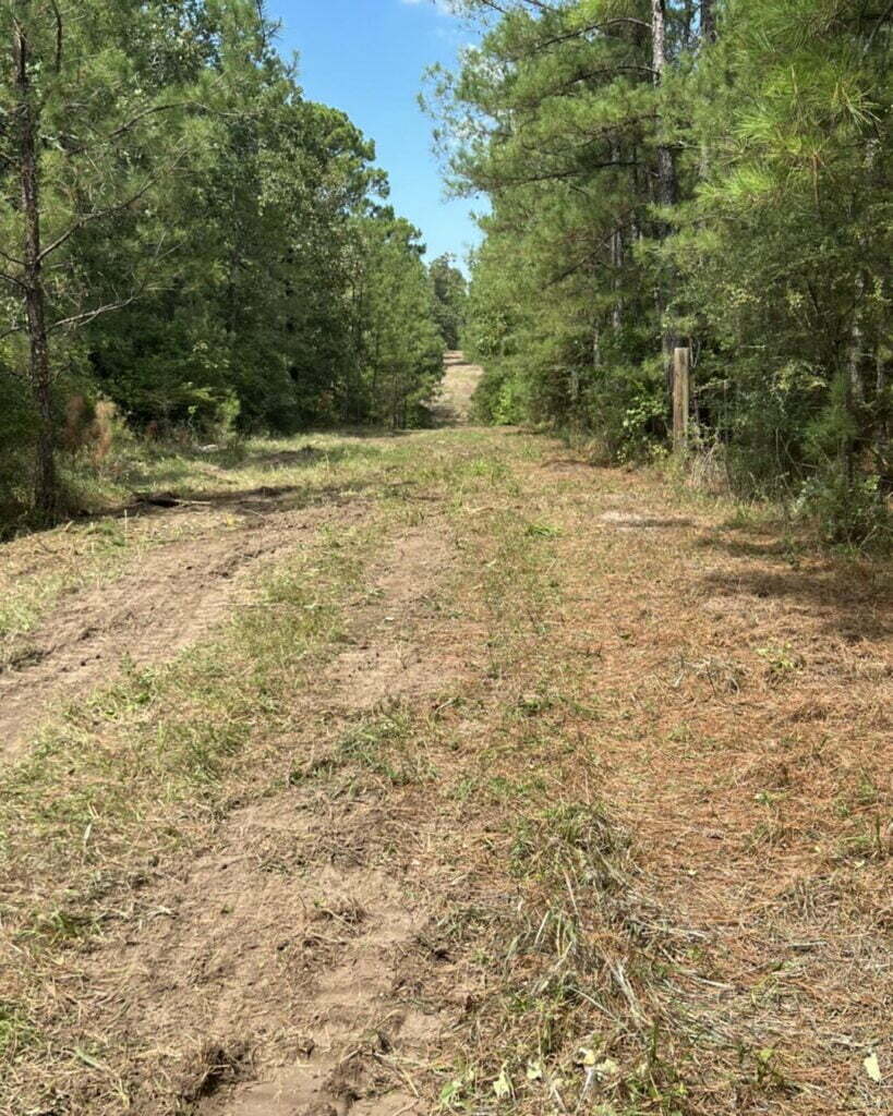 Reliable Land Clearing Services - Graham Land Services | Anderson Texas